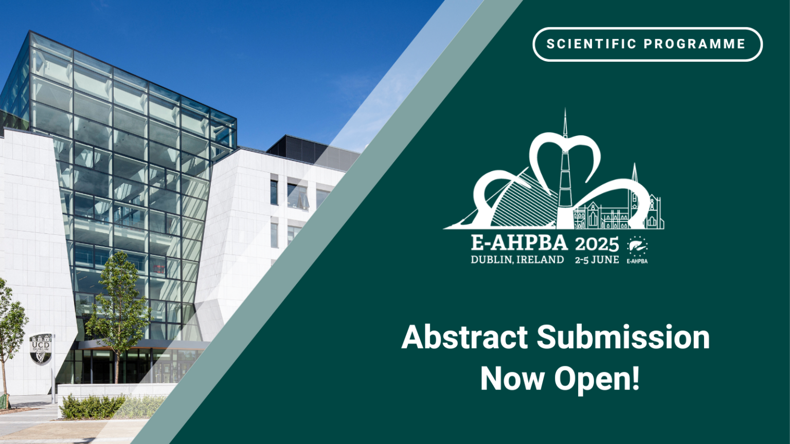 E-AHPBA – European-African Hepato-Pancreato-Biliary Association